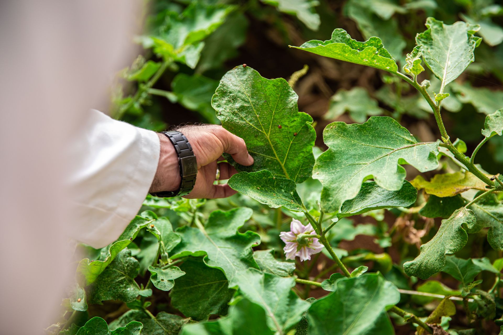 عن المركز | مركز وقاء